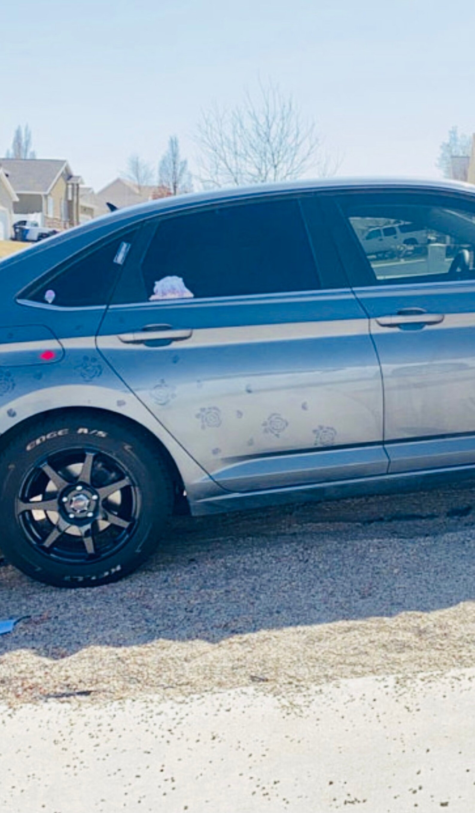 Rose and Falling Petals JDM Decal Sticker Pack rose petals | Etsy