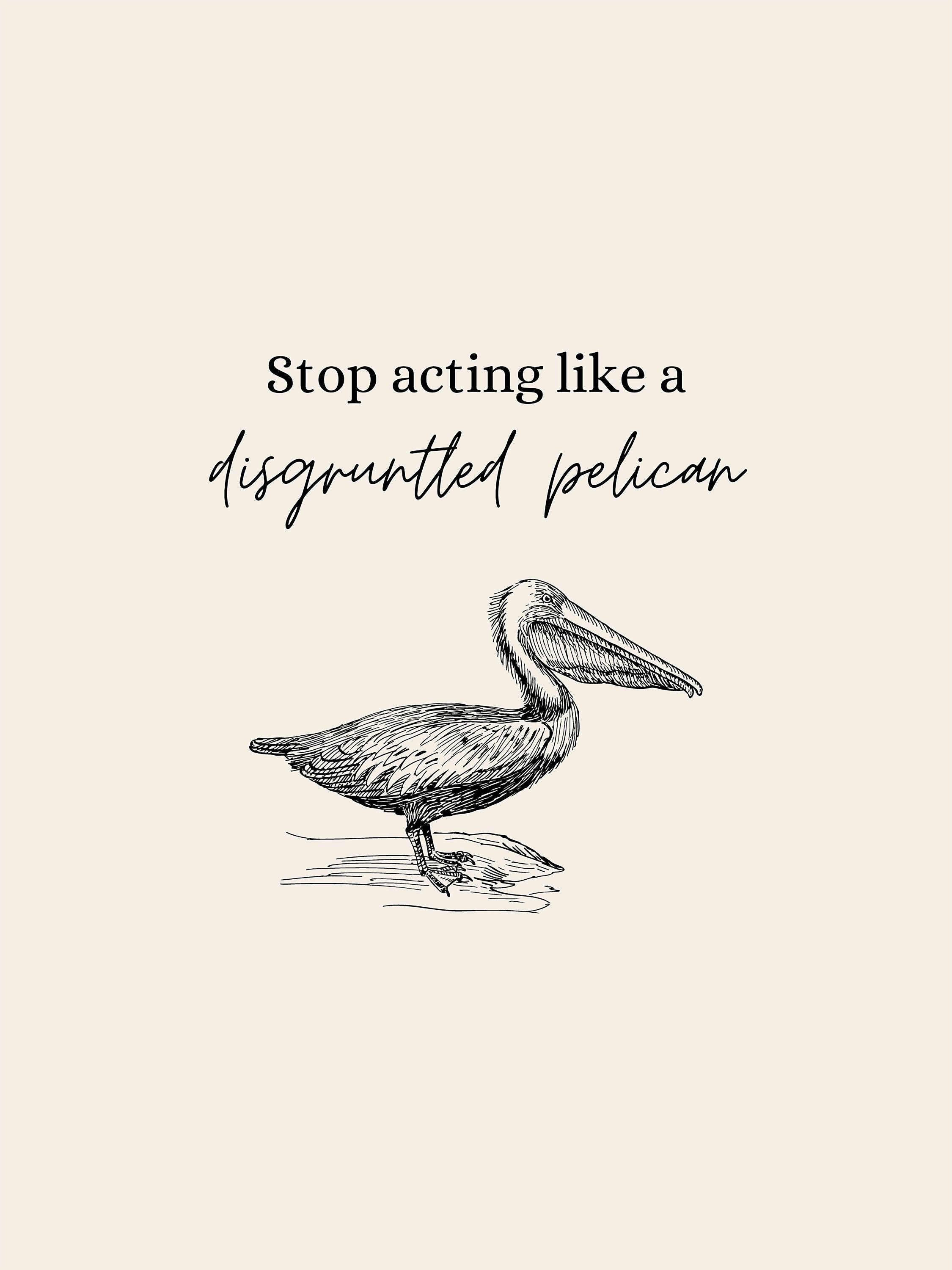 Stop Acting Like a Disgruntled Pelican Schitt's Creek - Etsy Israel