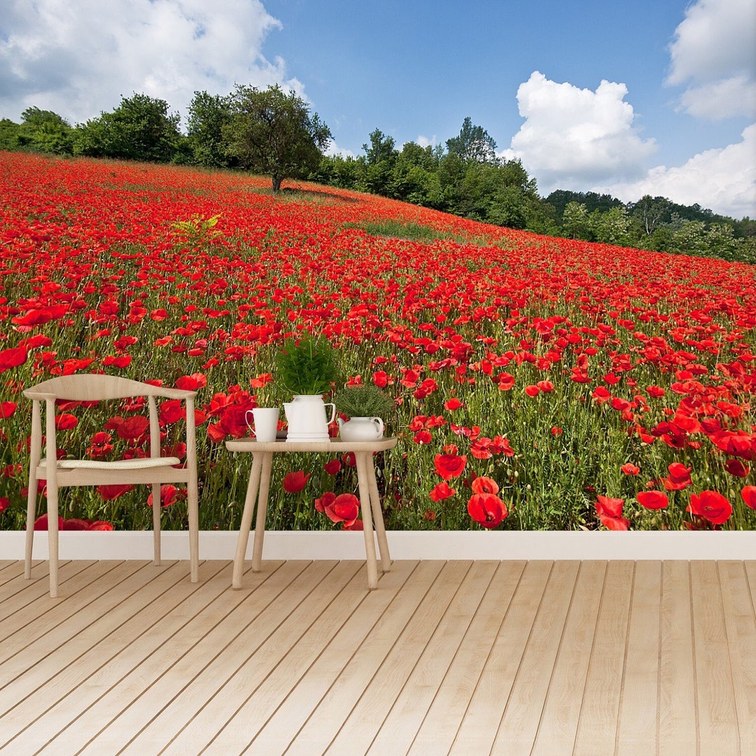 Poppy Field Self Adhesive or Paste & Glue Wallpaper | Wall Mural Poppy ...