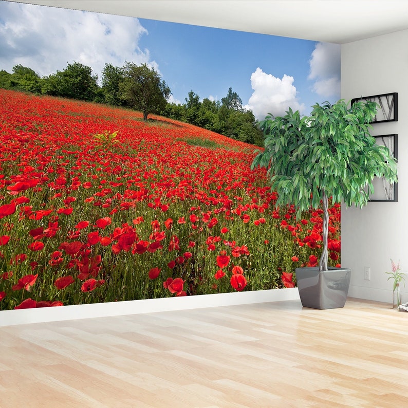 Poppy Field Self Adhesive or Paste & Glue Wallpaper | Wall Mural Poppy ...