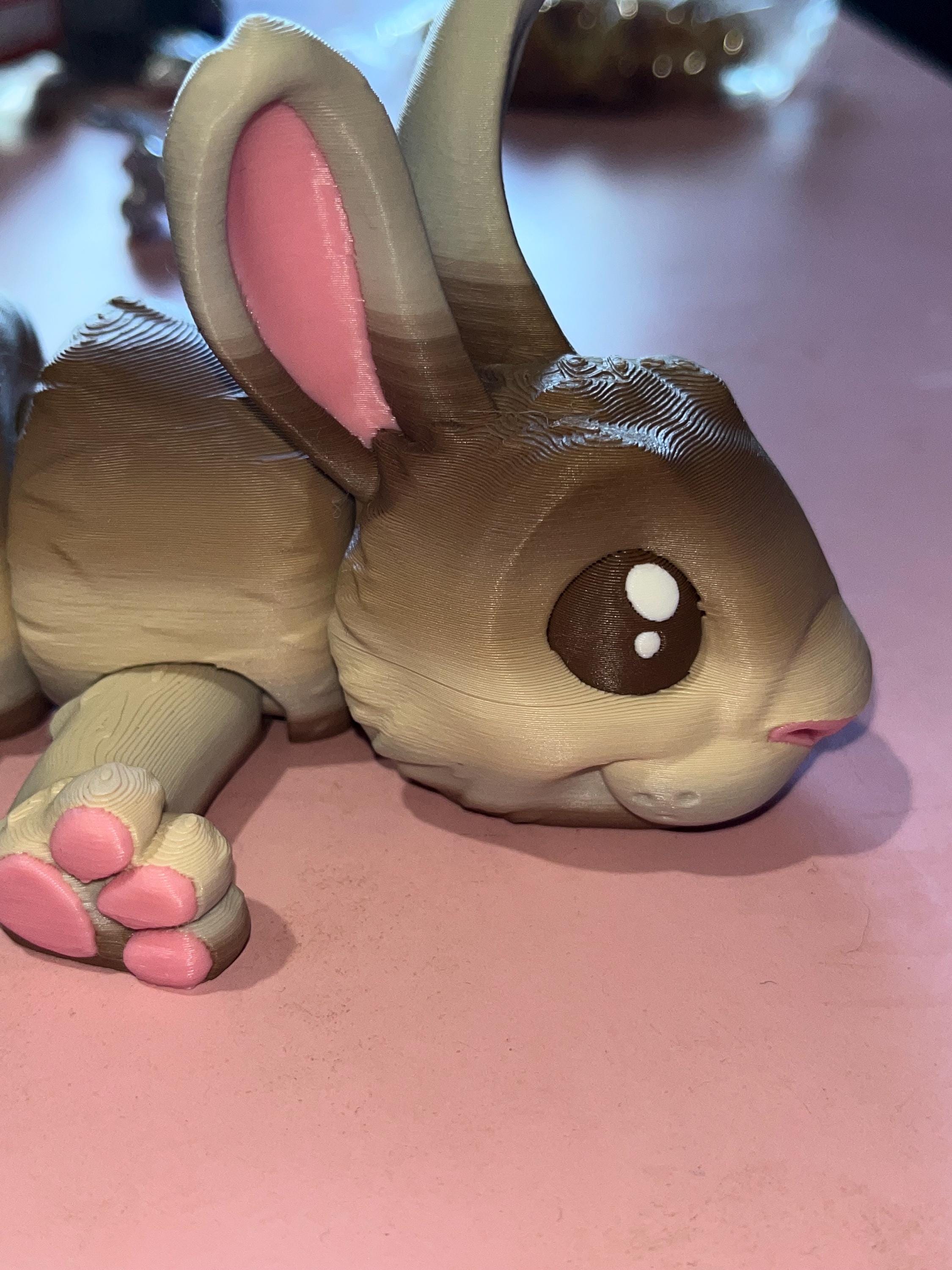 3D Printed Articulated Bunny, Fidget Flexi Rabbit - Etsy