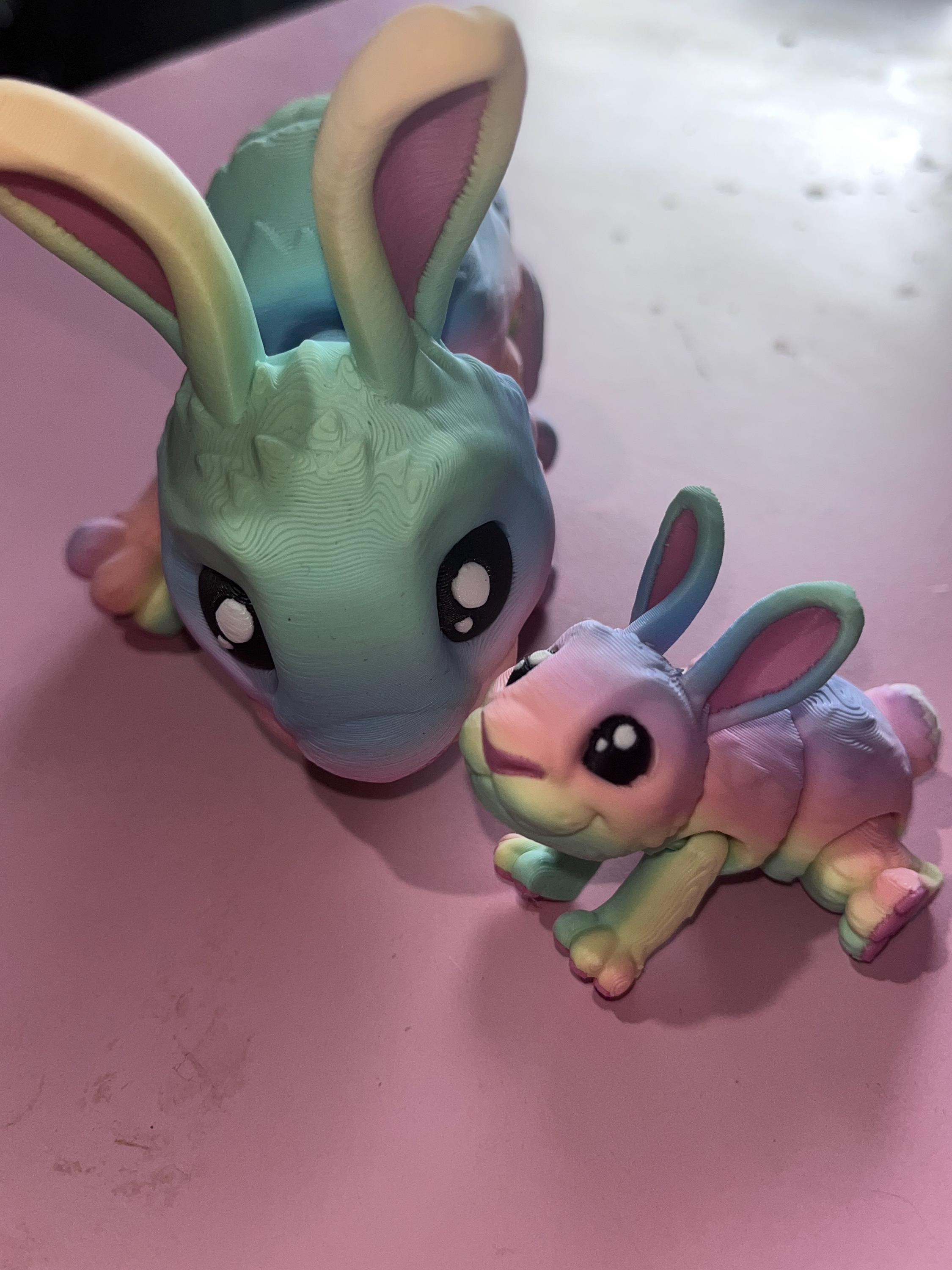 3D Printed Articulated Bunny, Fidget Flexi Rabbit - Etsy