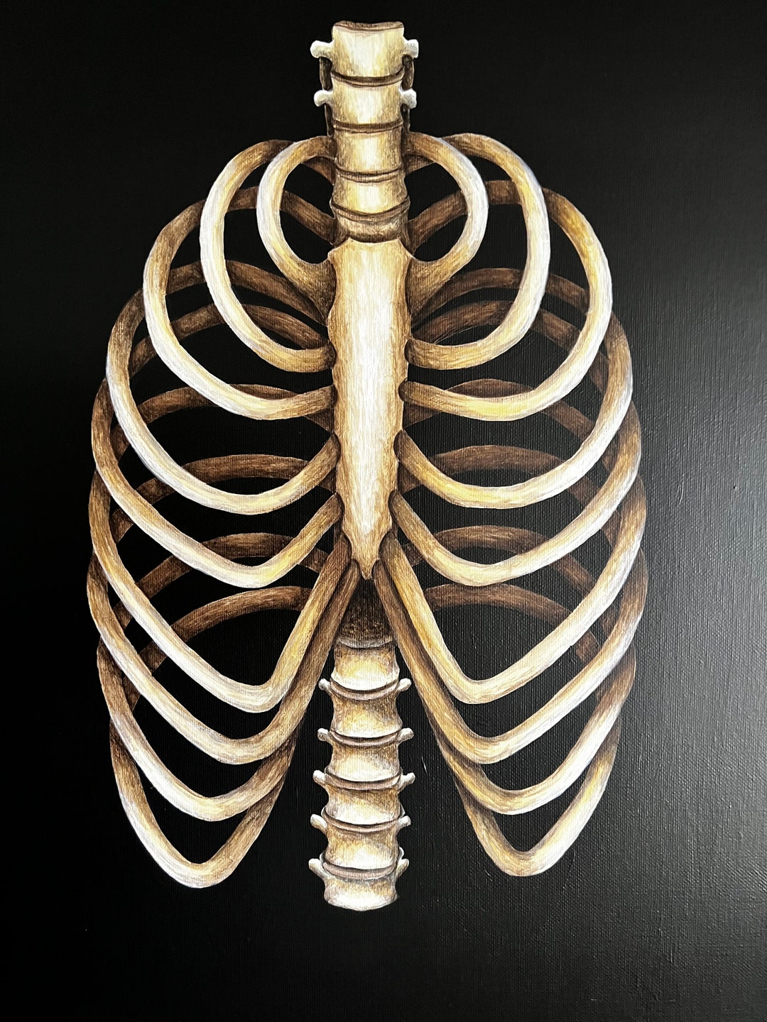 Rib Cage Acrylic Painting - Etsy