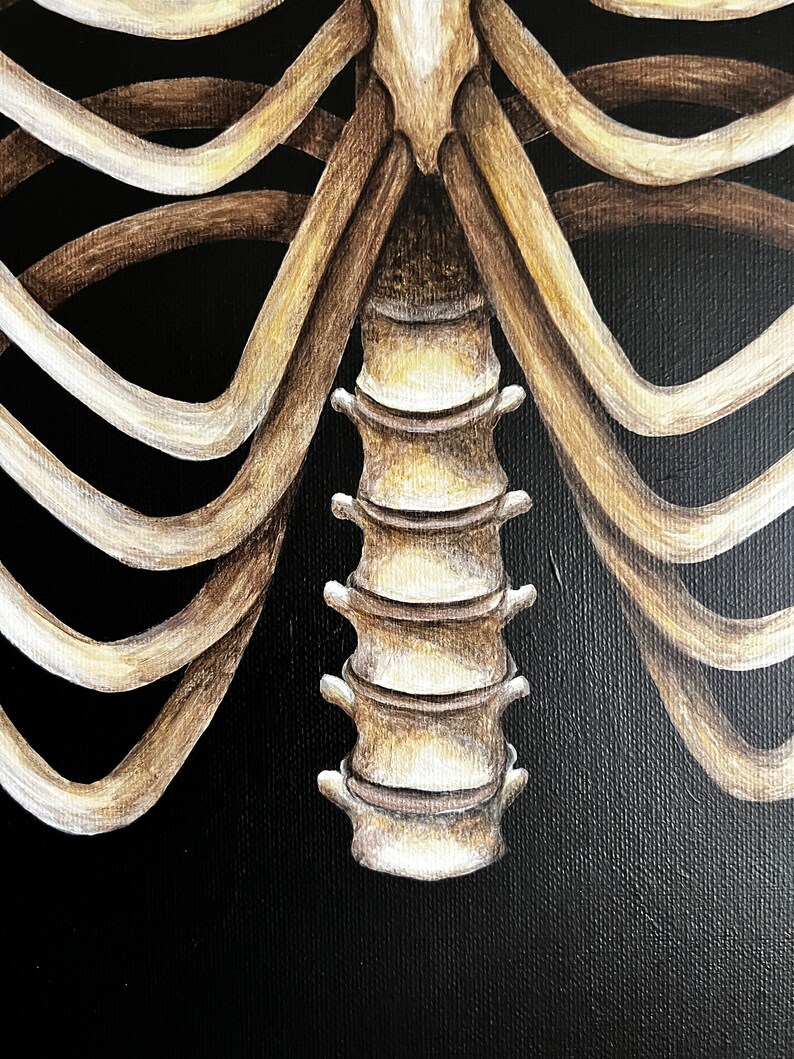 Rib Cage Acrylic Painting - Etsy
