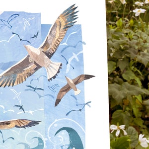 Seagull Collage A4 Print, Ocean Print, Sea Illustration - Etsy