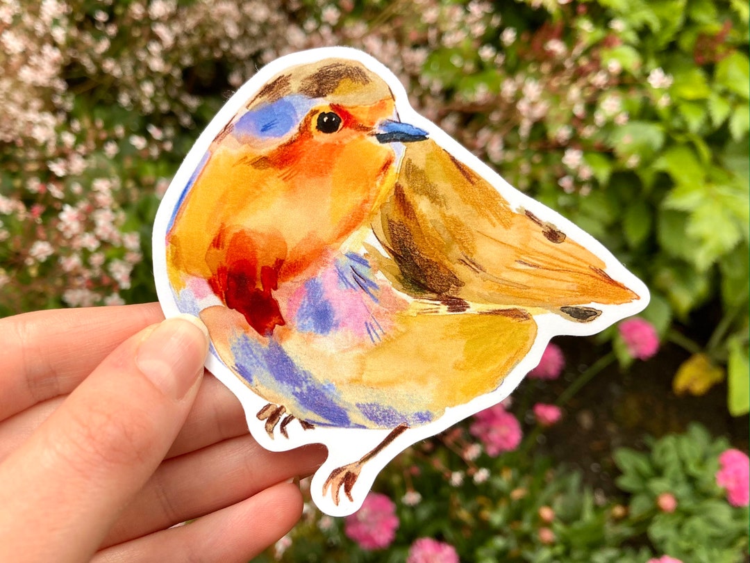 Robin Sticker, Vinyl Sticker, Cute Robin Die Cut Sticker - Etsy