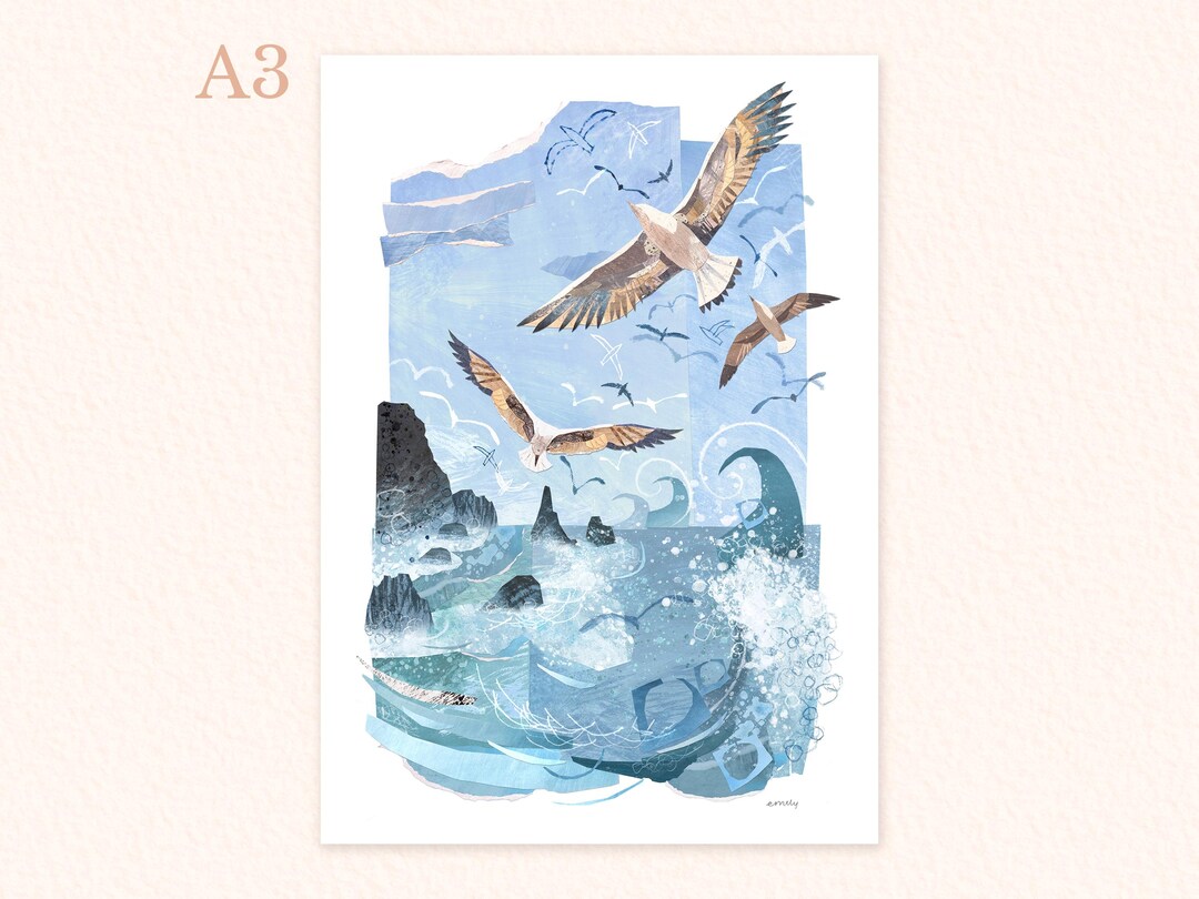 A3 Seagull Collage Print, Ocean Print, Sea Illustration - Etsy Australia