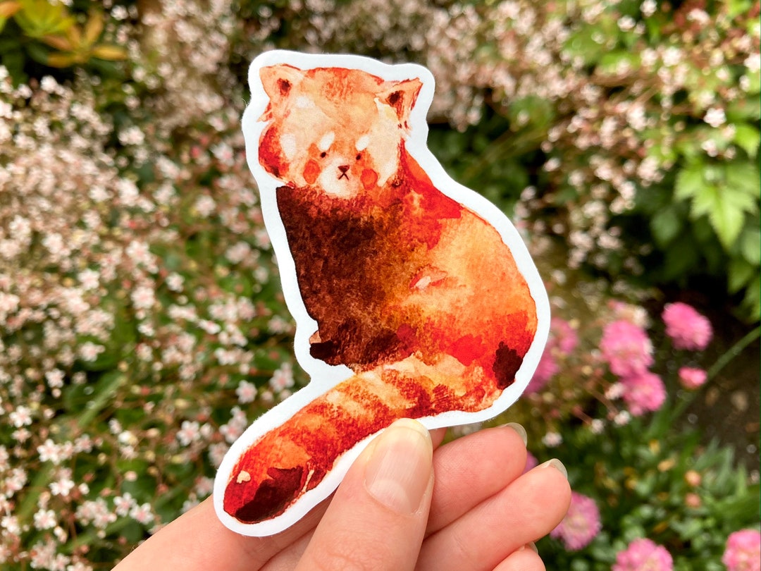 Red Panda Sticker, Vinyl Sticker, Cute Red Panda Die Cut Sticker - Etsy