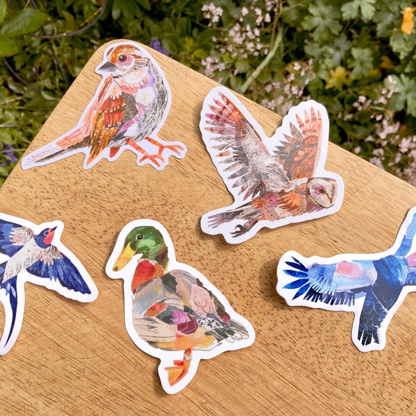 Vinyl Birds - Etsy UK