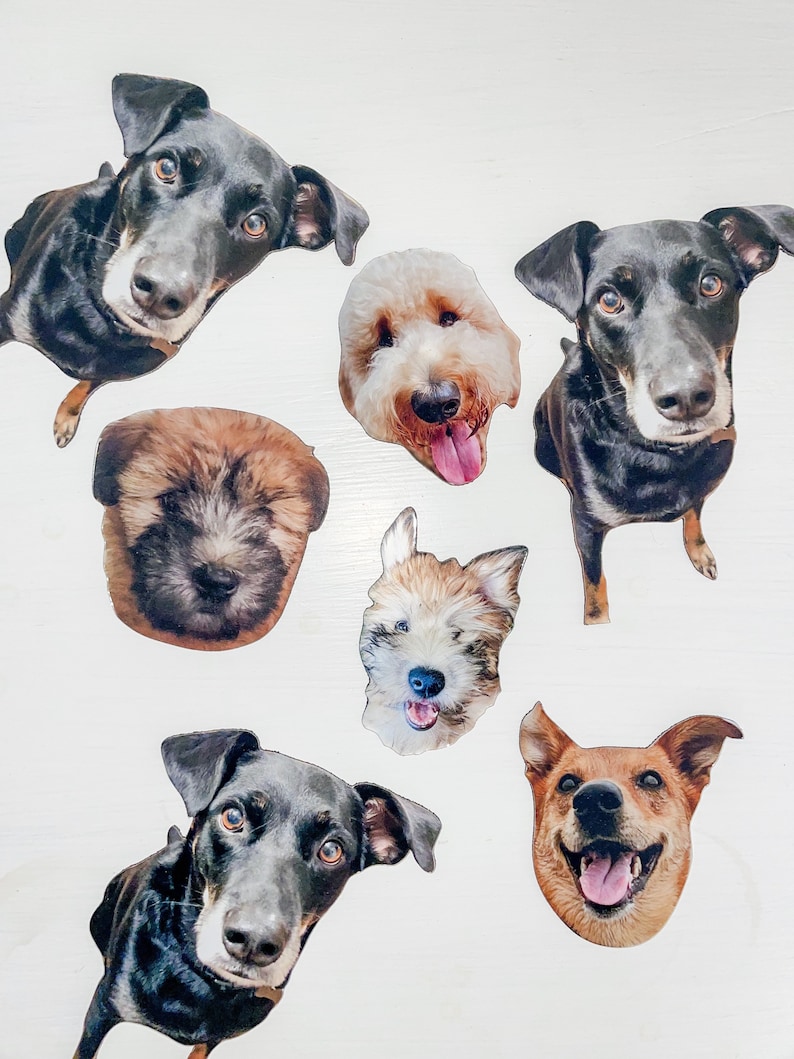 Custom Pet Magnets Cute Animal Magnets Decorative Magnets - Etsy