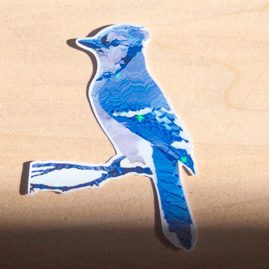 Blue Jay Sticker Decal - Etsy