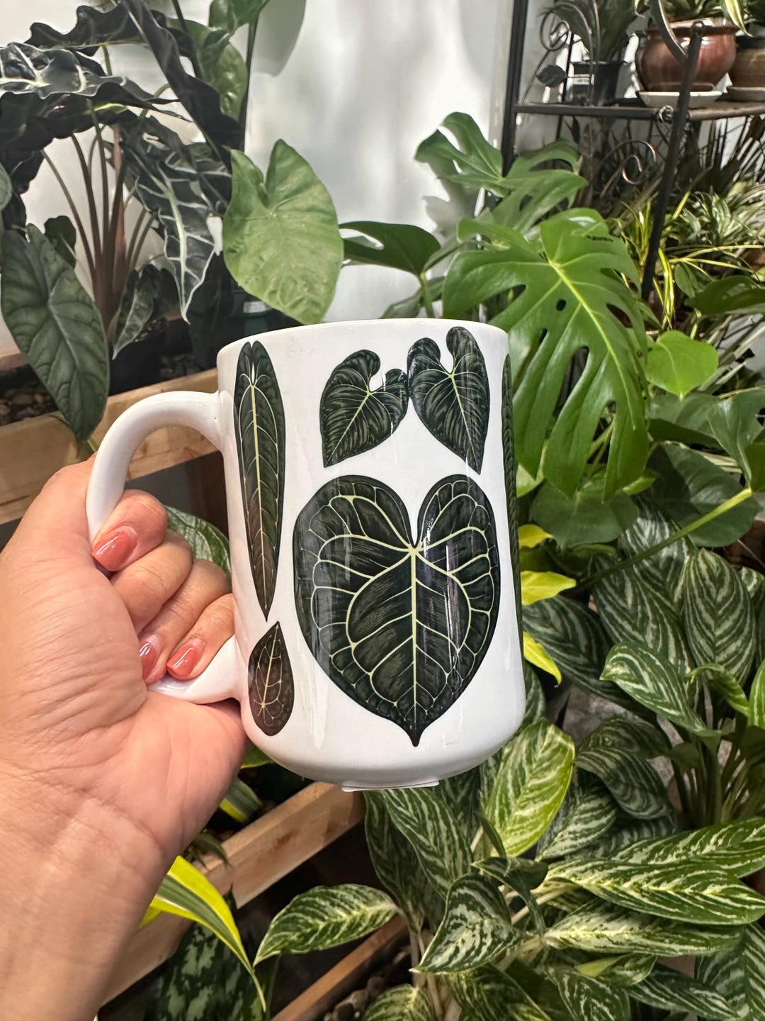 Rare Anthurium Plant Cup, Anthurium Plant Mug, Houseplant Collection ...