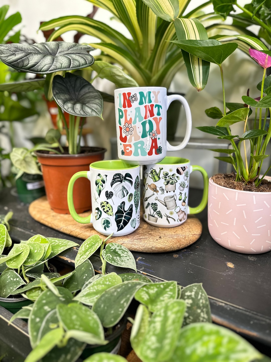 Houseplants Mug Set of 3, Monstera Mug, Exotic Plant Mug, Plant Coffee ...
