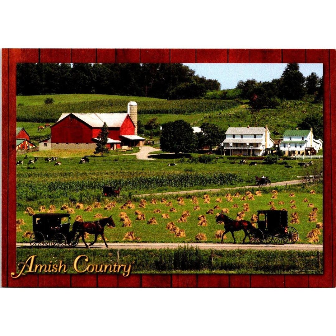 Amish Postcard - Amish Families Heading for Town on Saturday Morning 4 ...