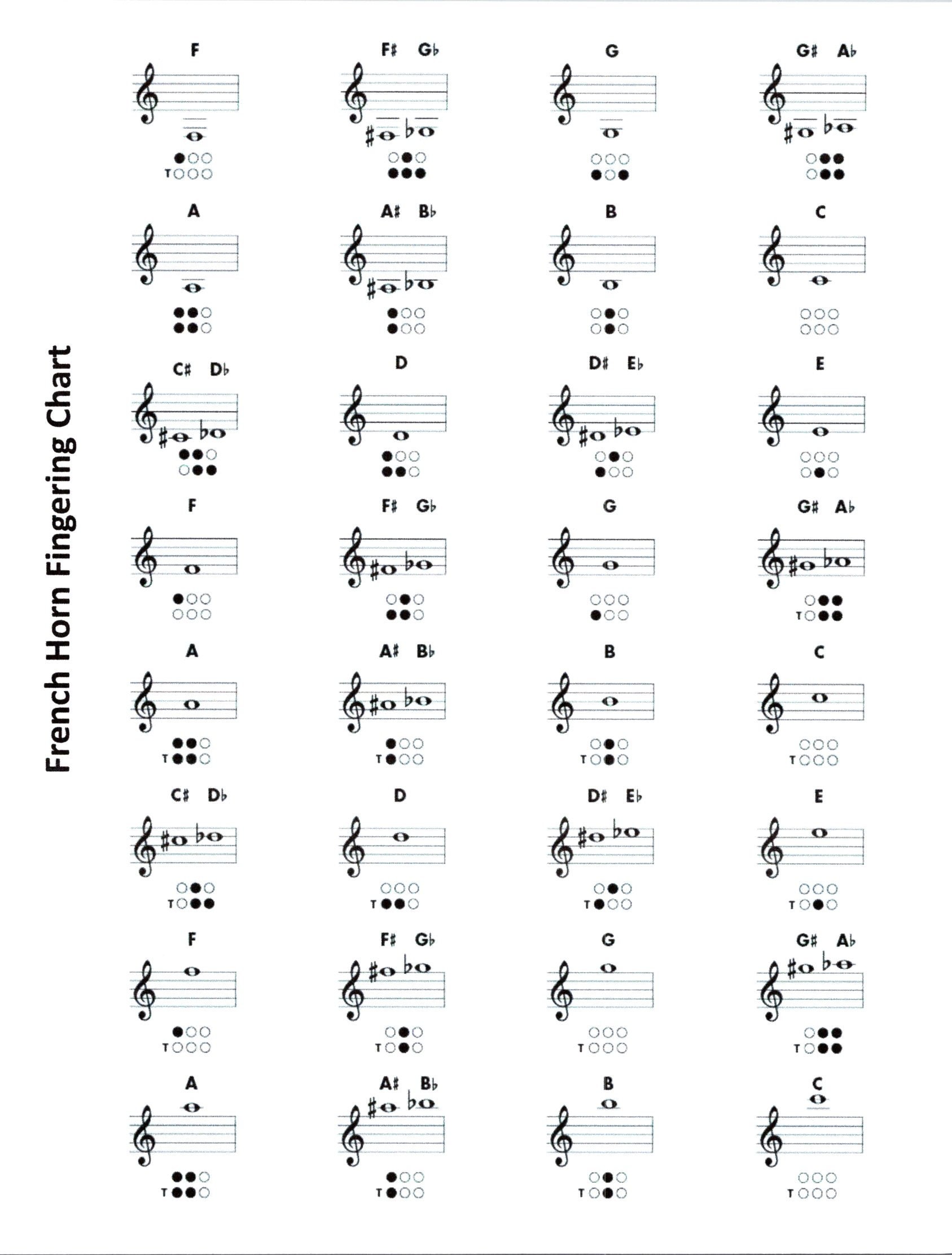 Digital - French Horn Fingering Chart for Beginner to Advanced Level - Etsy