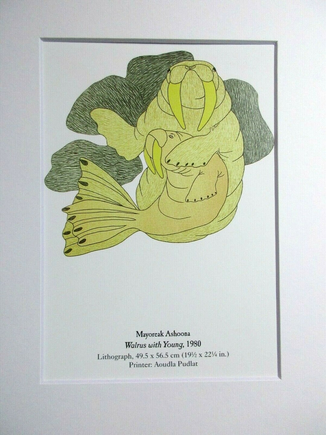 Intuit Art Print - WALRUS WITH YOUNG 1980 by Mayoreak Ashoona White Mat ...