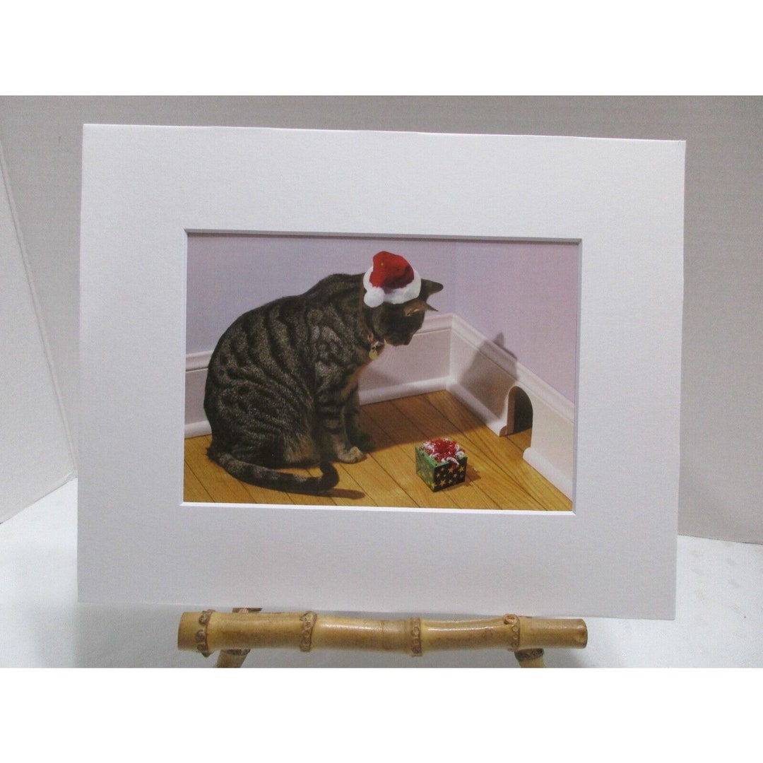 Kitten Waiting for Mouse Card Print 8" X 10" in White Mat With ...