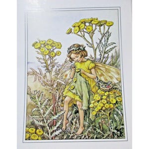 Art Postcard by Cicely Mary Barker - the Tansy Fairy - Flower Fairies - Etsy
