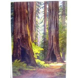 William S Rice Artist Notecard and Envelope ARMSTRONG GROVE GUERNEVILLE ...