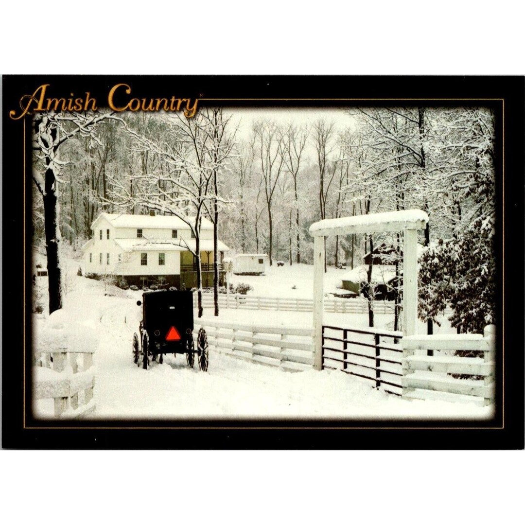 Amish Postcard - Home at Last - House and Buggy in Heavy Snow 4" X 6 ...