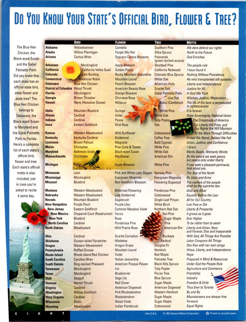 USA State's Official Bird Flower Tree - Printable 1997 Magazine Page - Etsy