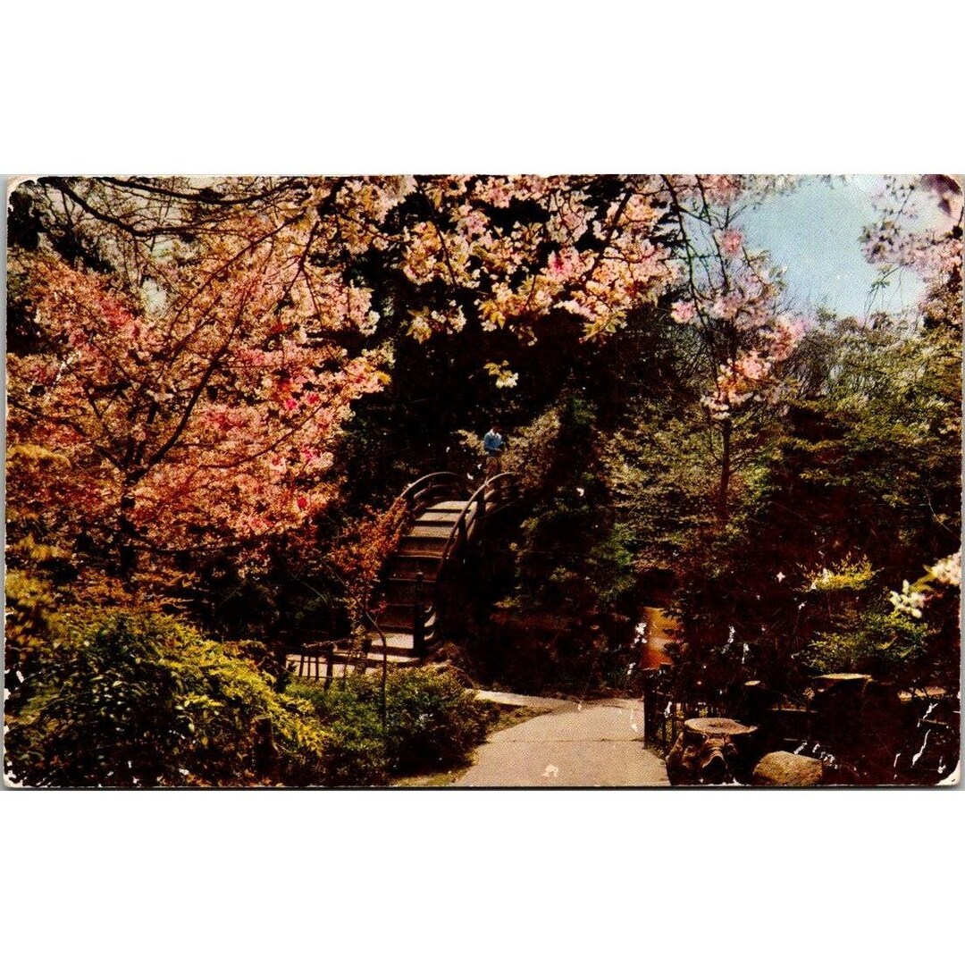 Postcard - Japanese Tea Garden in Golden Gate Park, San Francisco ...