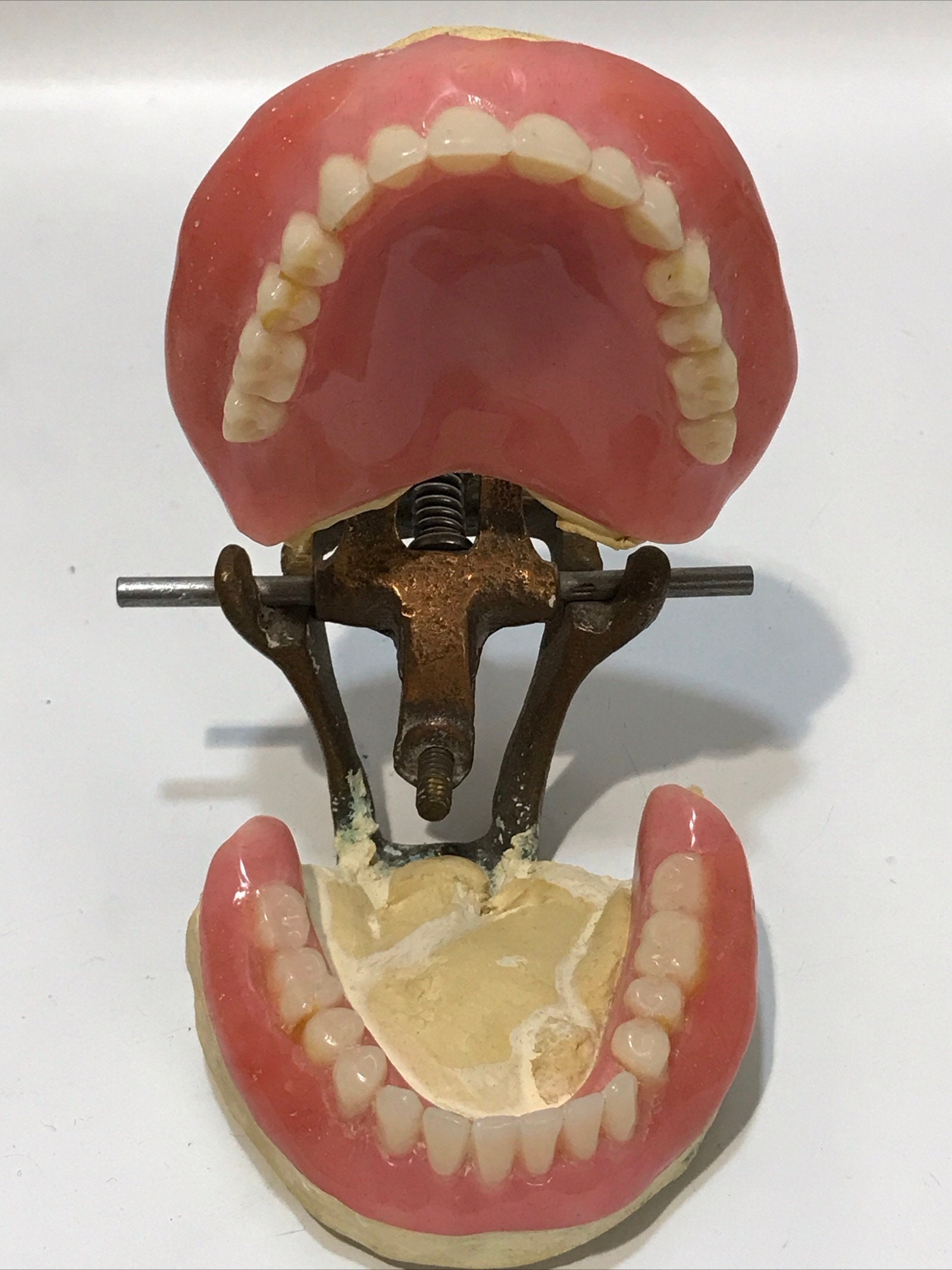 Collectible Vintage Plaster Dental Teeth Model in Brass Articulator - Etsy