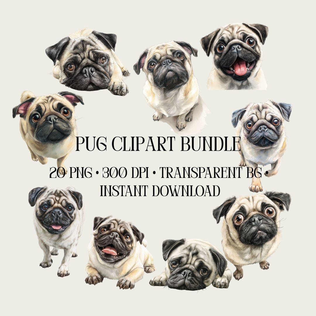 Pug Clipart Bundle: 20 Funny Watercolour PNG Images + Bonus MP4 Video ...