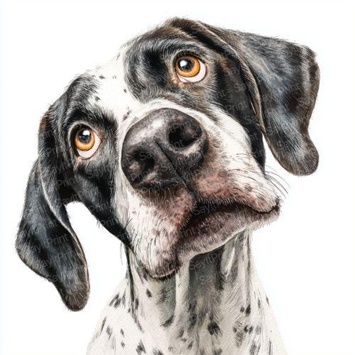 English Pointer Funny Clip Art: Watercolor Dog Images (PNG Downloadable ...