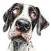 English Pointer Funny Clip Art: Watercolor Dog Images (PNG Downloadable ...
