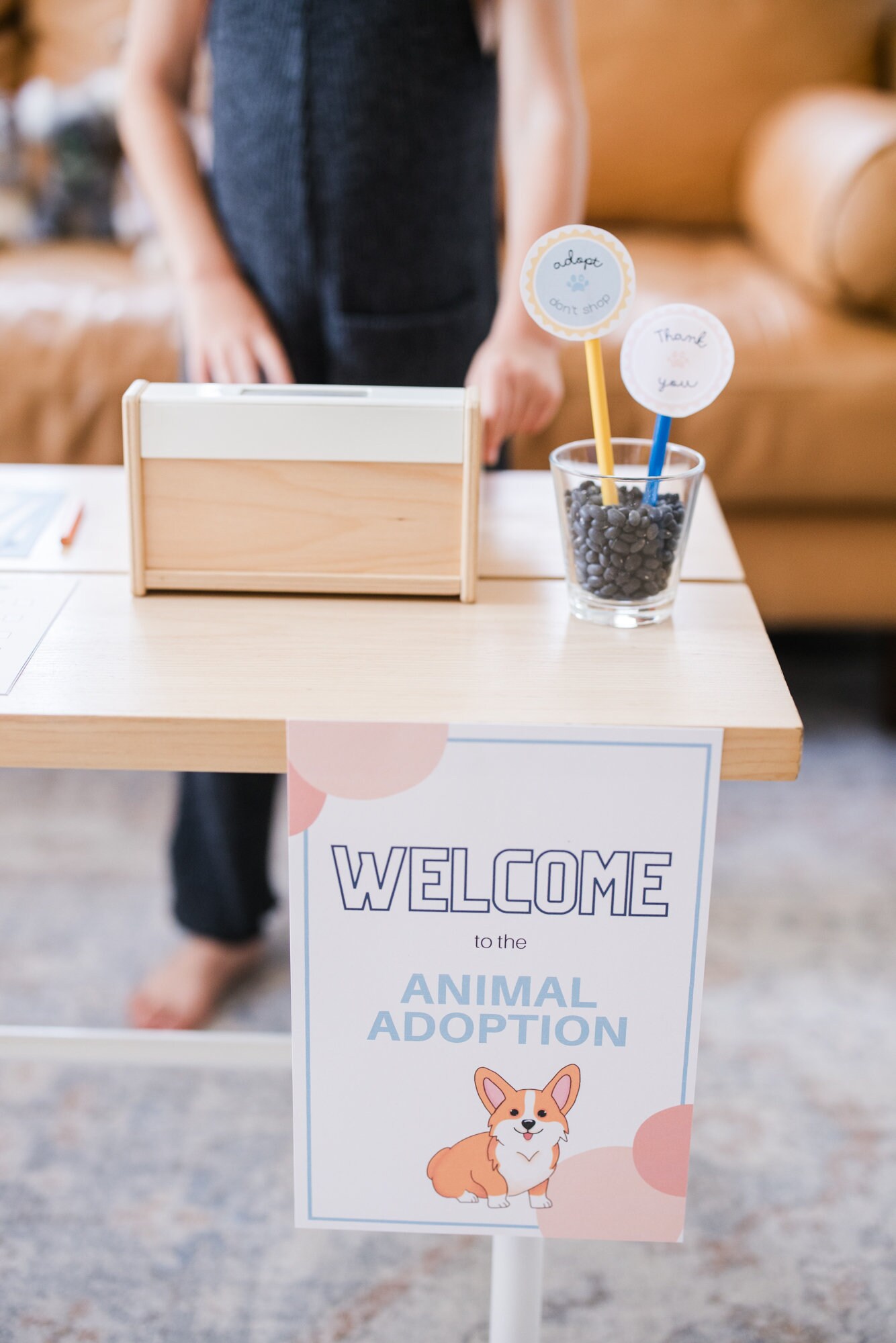 PRINTABLE Dramatic Play Pet Shop | Printable Play for 3 - 8 Years ...