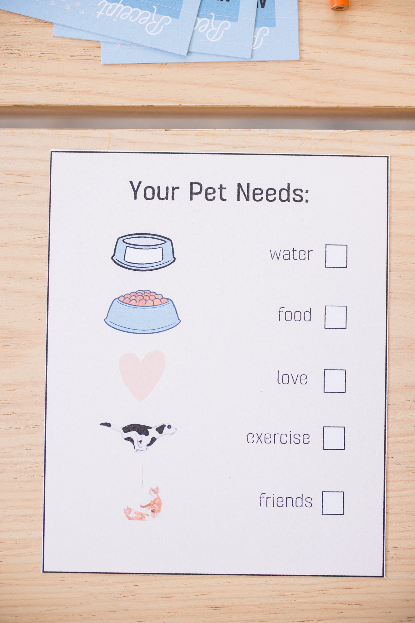 PRINTABLE Dramatic Play Pet Shop | Printable Play for 3 - 8 Years ...
