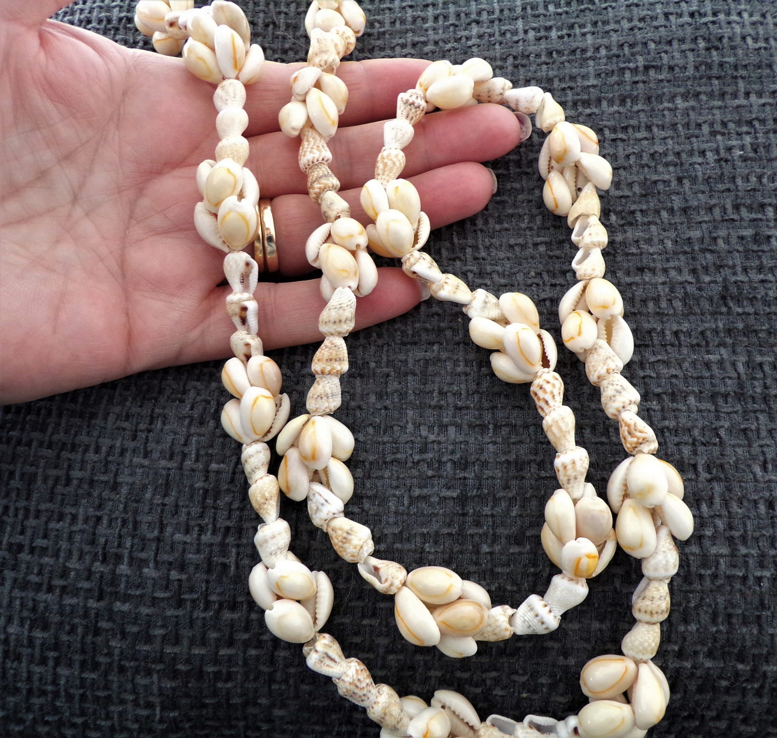 Vintage 1980s Cowrie Shell Necklace Seashell Necklace Long Etsy