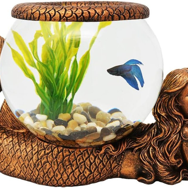 Fish Fishbowl - Etsy