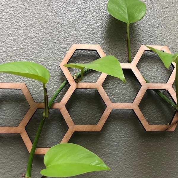 Hexagon Trellis - Etsy