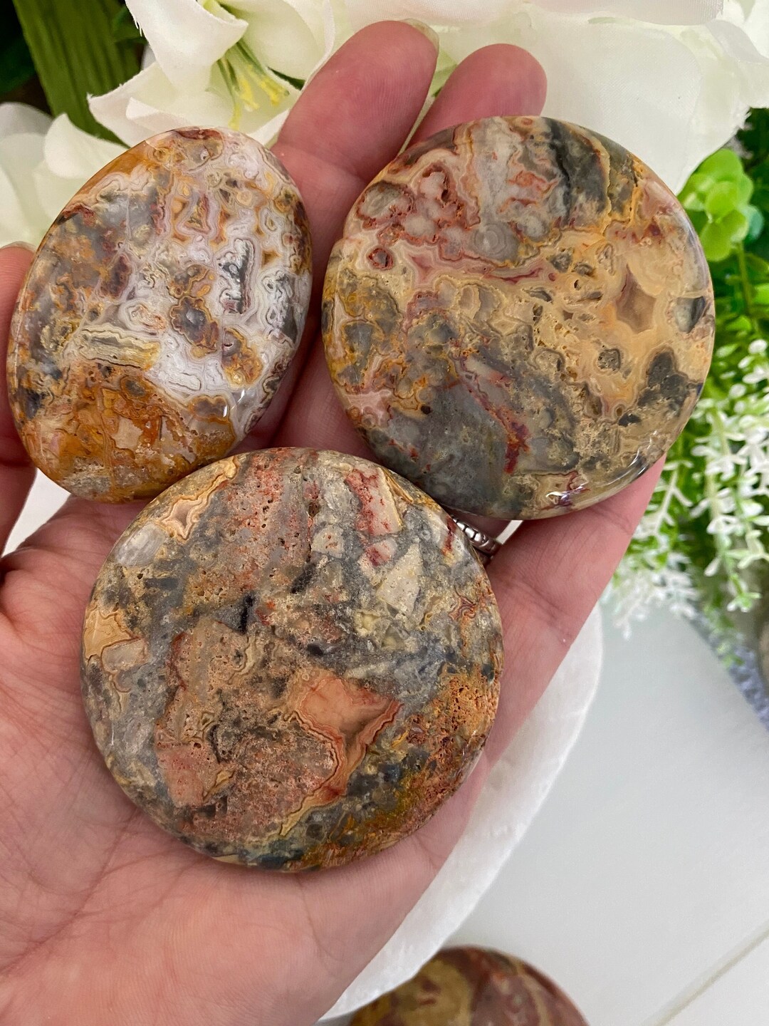 Crazy Lace // Mexican Lace Agate Palms (you Choose) - Etsy