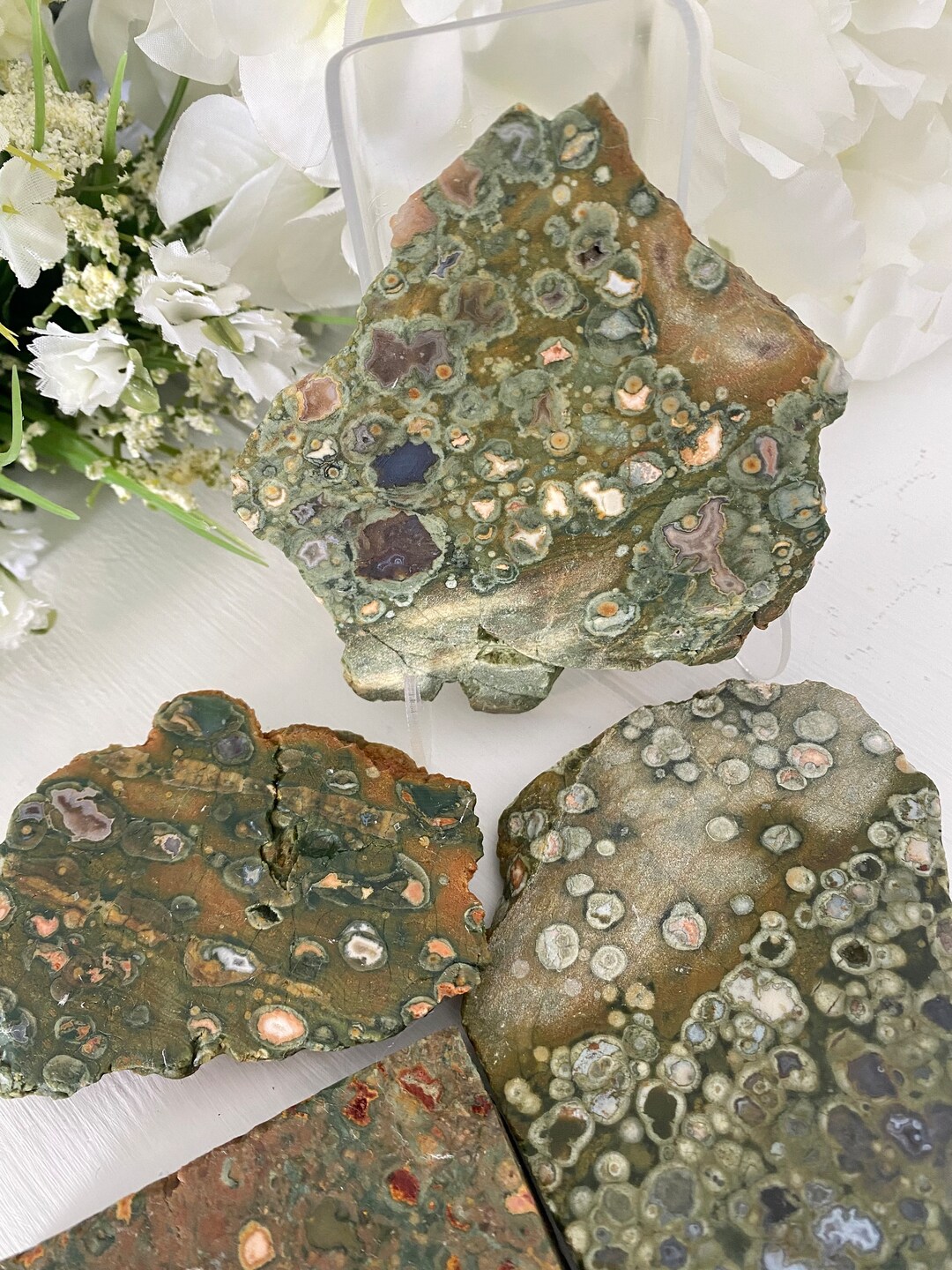 Rainforest Jasper Slices (spherulitic Rhyolite, Australian Jasper) You ...