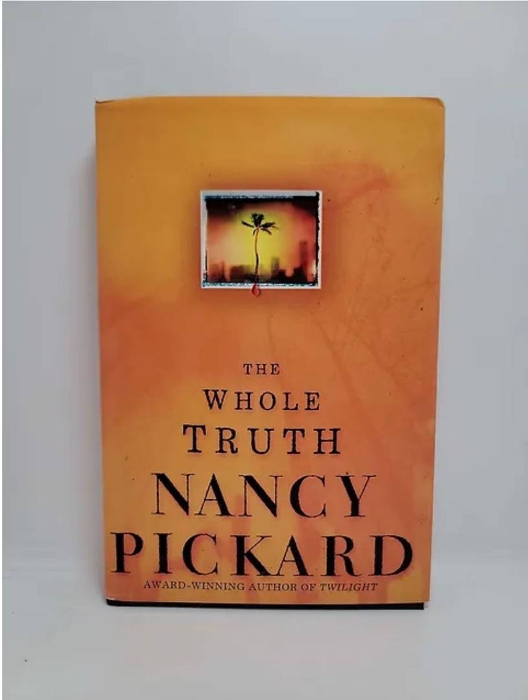 The Whole Truth Hardcover – Large Print, January 1, 2000 by Nancy ...