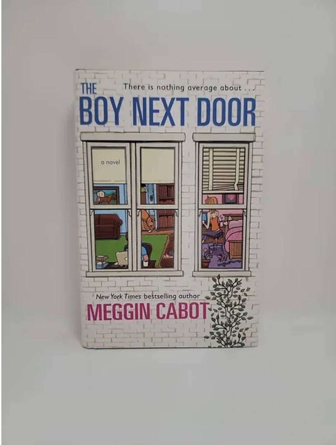 The Boy Next Door Hardcover – 2002 by Meggin Cabot Melissa Fuller, 20 ...