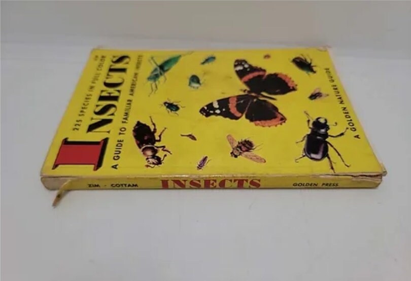 Insects, a Guide to Familiar American Insects (225 Species in Full ...
