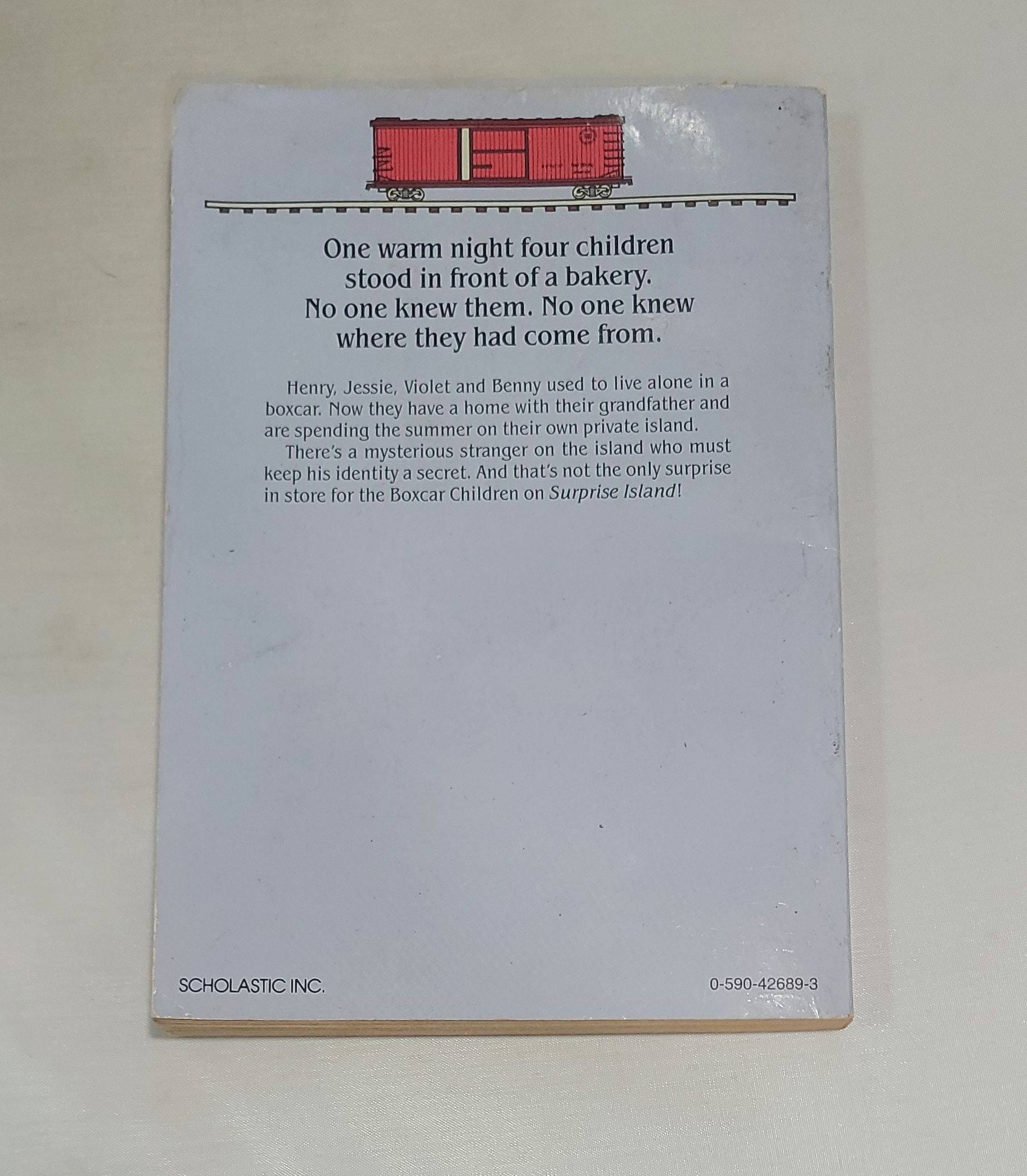 The Boxcar Children 2: Surprise Island by Gertrude Chandler - Etsy