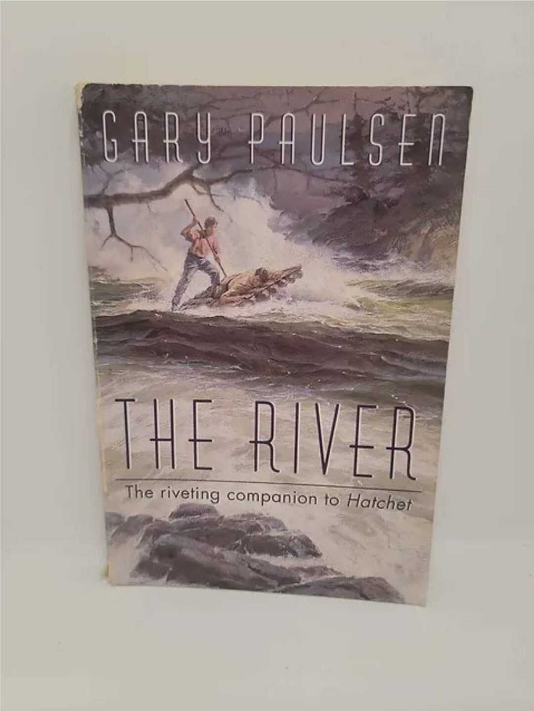 Gary Paulsen The River