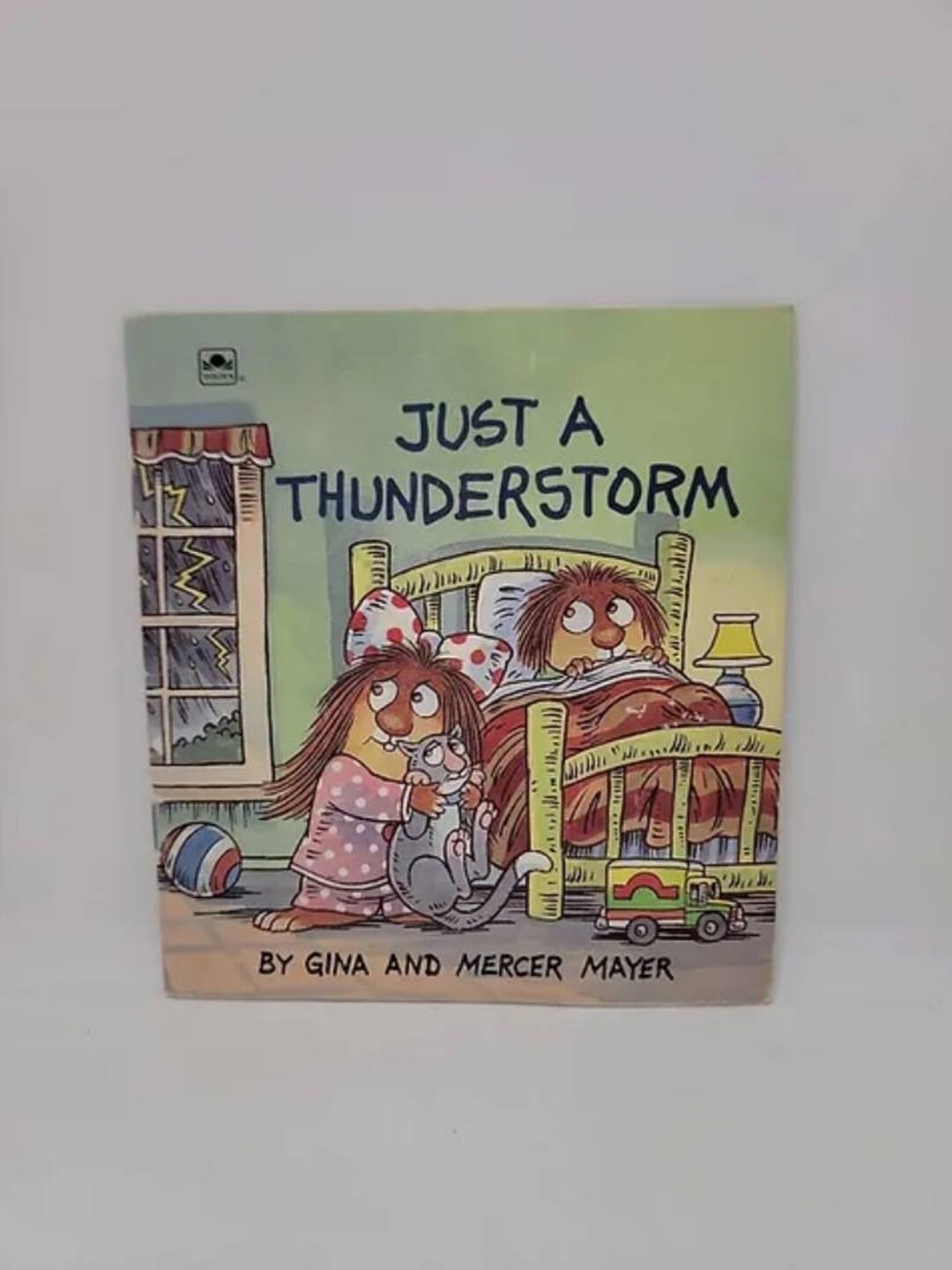 Just a Thunderstorm (A Golden Little Look-look Book) Paperback – July ...