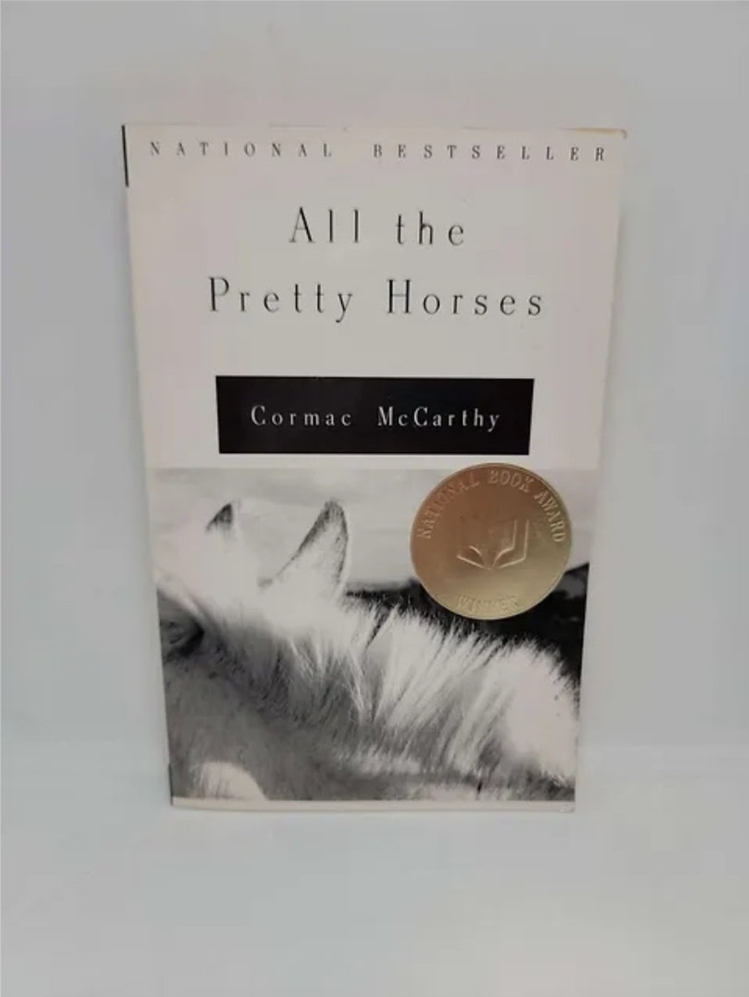 All the Pretty Horses (the Border Trilogy, Book 1) Paperback – January ...