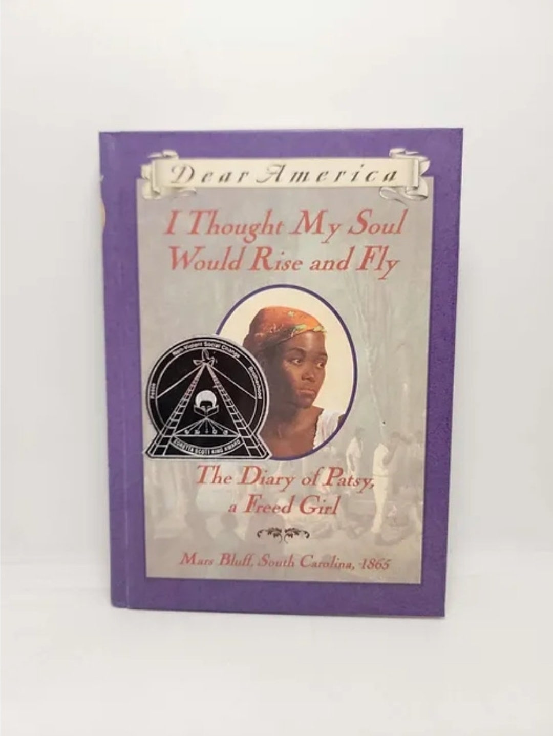 I Thought My Soul Would Rise and Fly: the Diary of Patsy, a Freed Girl ...