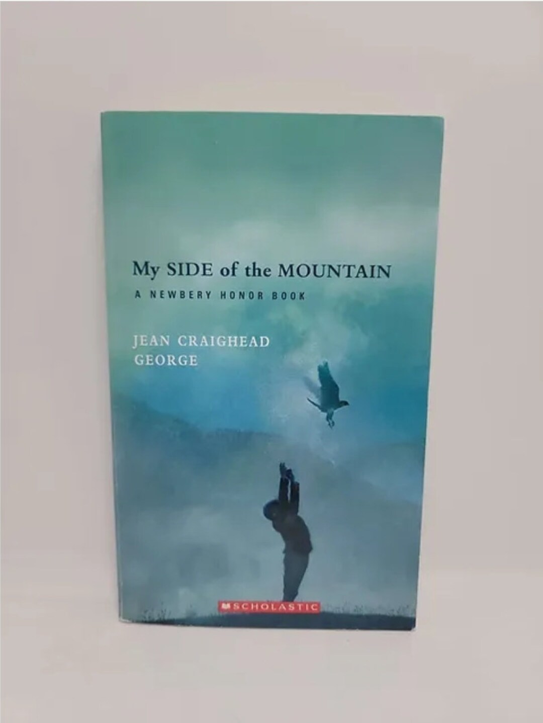 My Side of the Mountain (scholastic) Paperback – Illustrated, April 12 ...