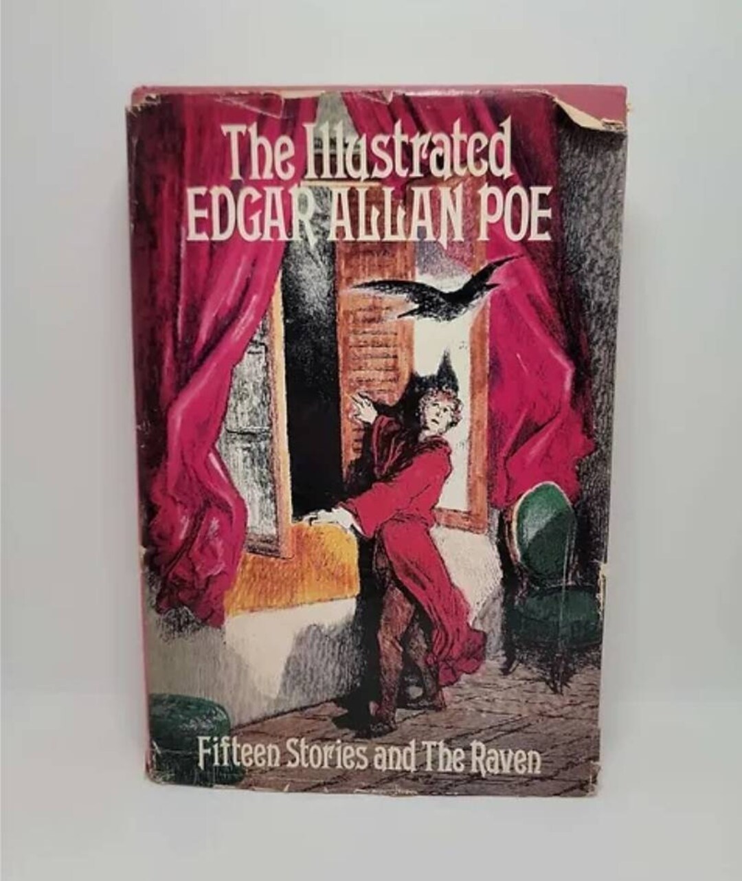 The Illustrated Edgar Allan Poe: Fifteen Stories and the Raven by Edgar ...