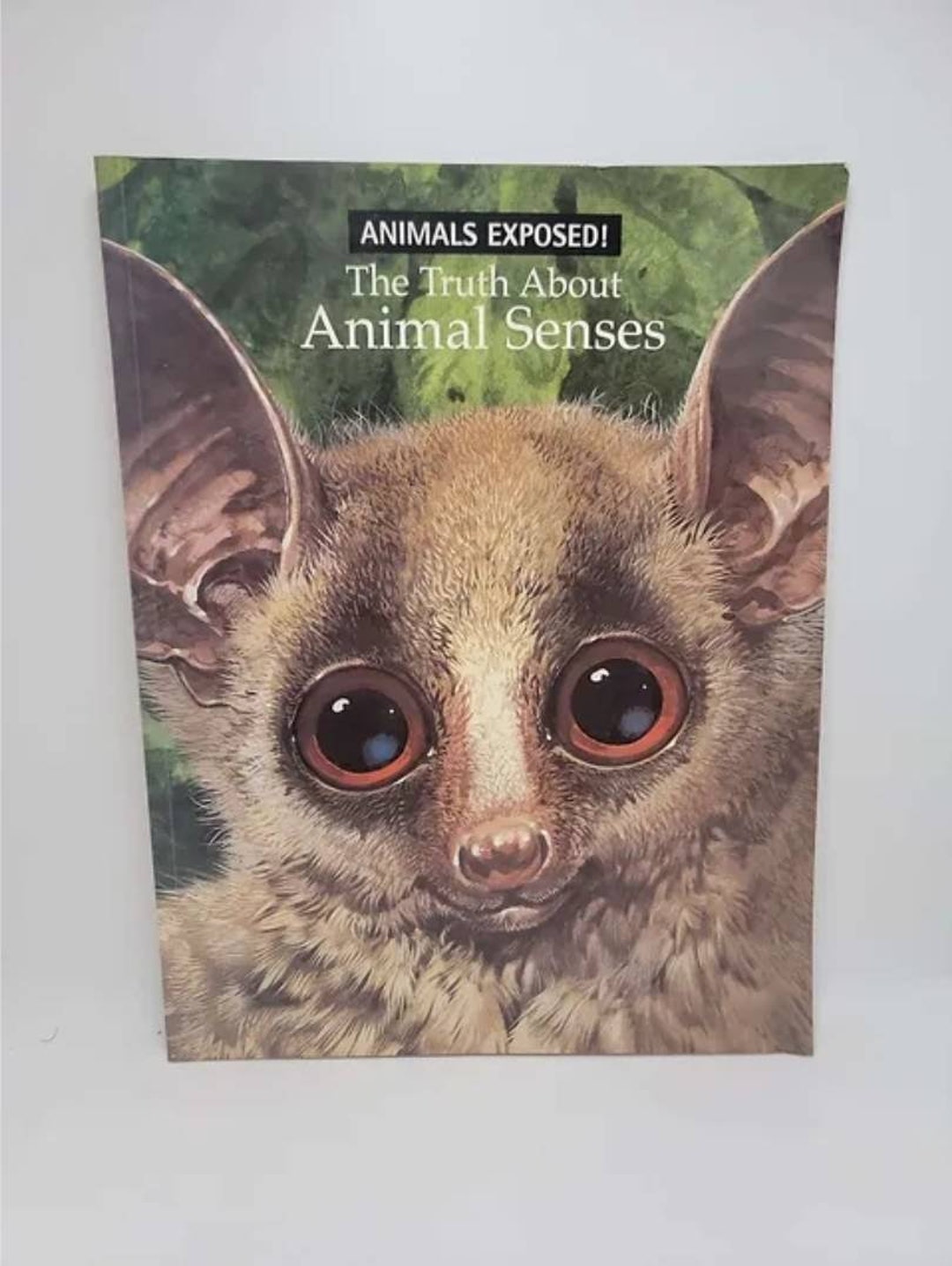 The Truth About Animal Senses (animals Exposed!) Paperback – January 1 ...