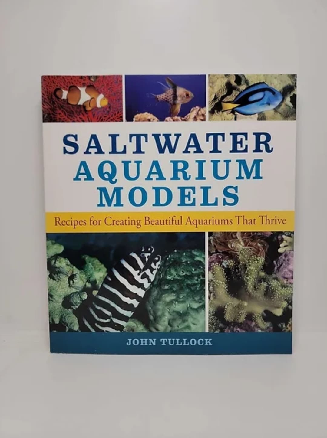 Saltwater Aquarium Models: Recipes for Creating Beautiful Aquariums ...