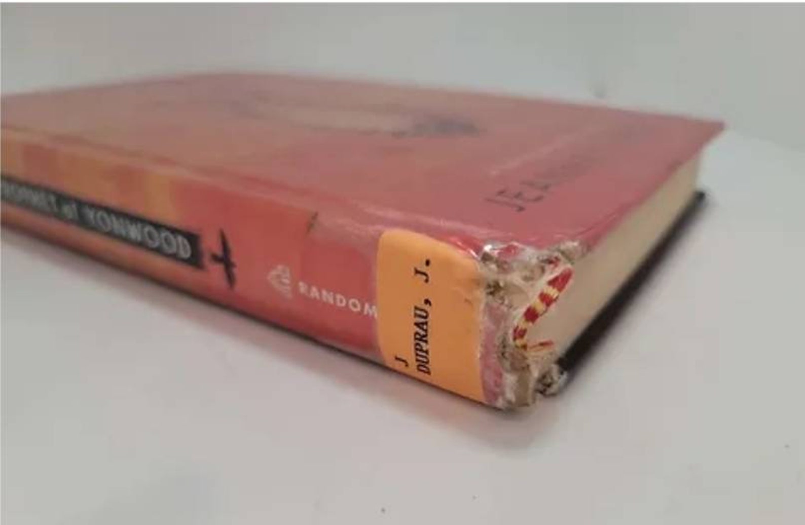 The Prophet of Yonwood by Jeanne Duprau Book of Ember #3 It’s 50 Years ...